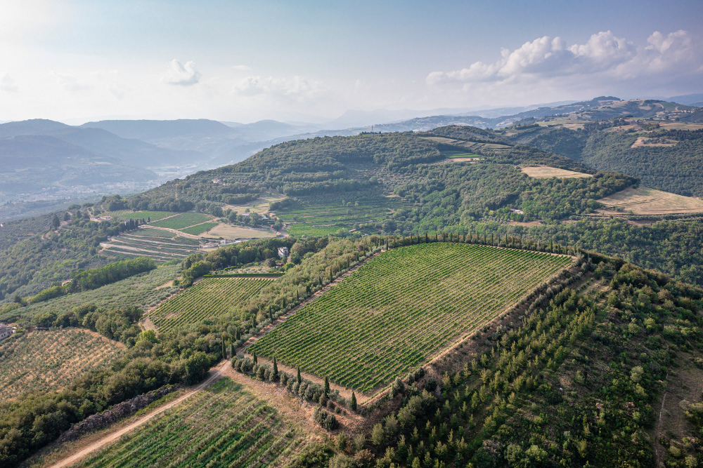 Cascina San Vincenzo Valpolicella Ripasso 2019 | The Write Taste