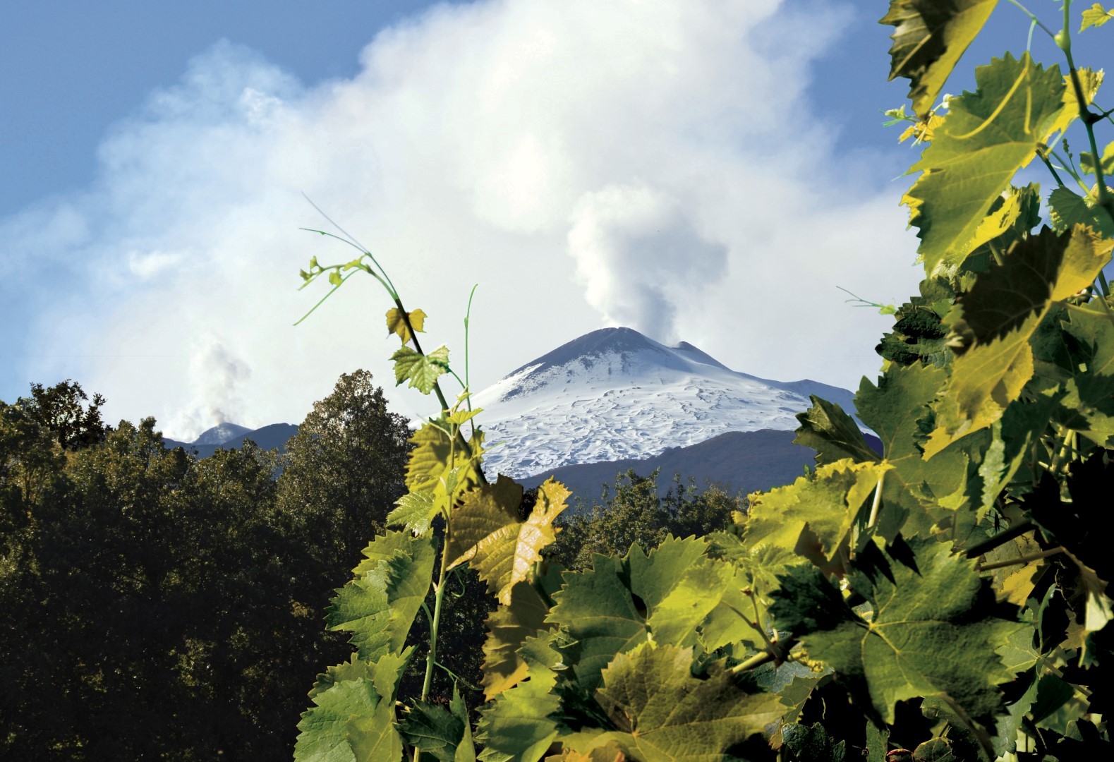 Etna: volcanic wine from the 'good volcano'! | The Write Taste