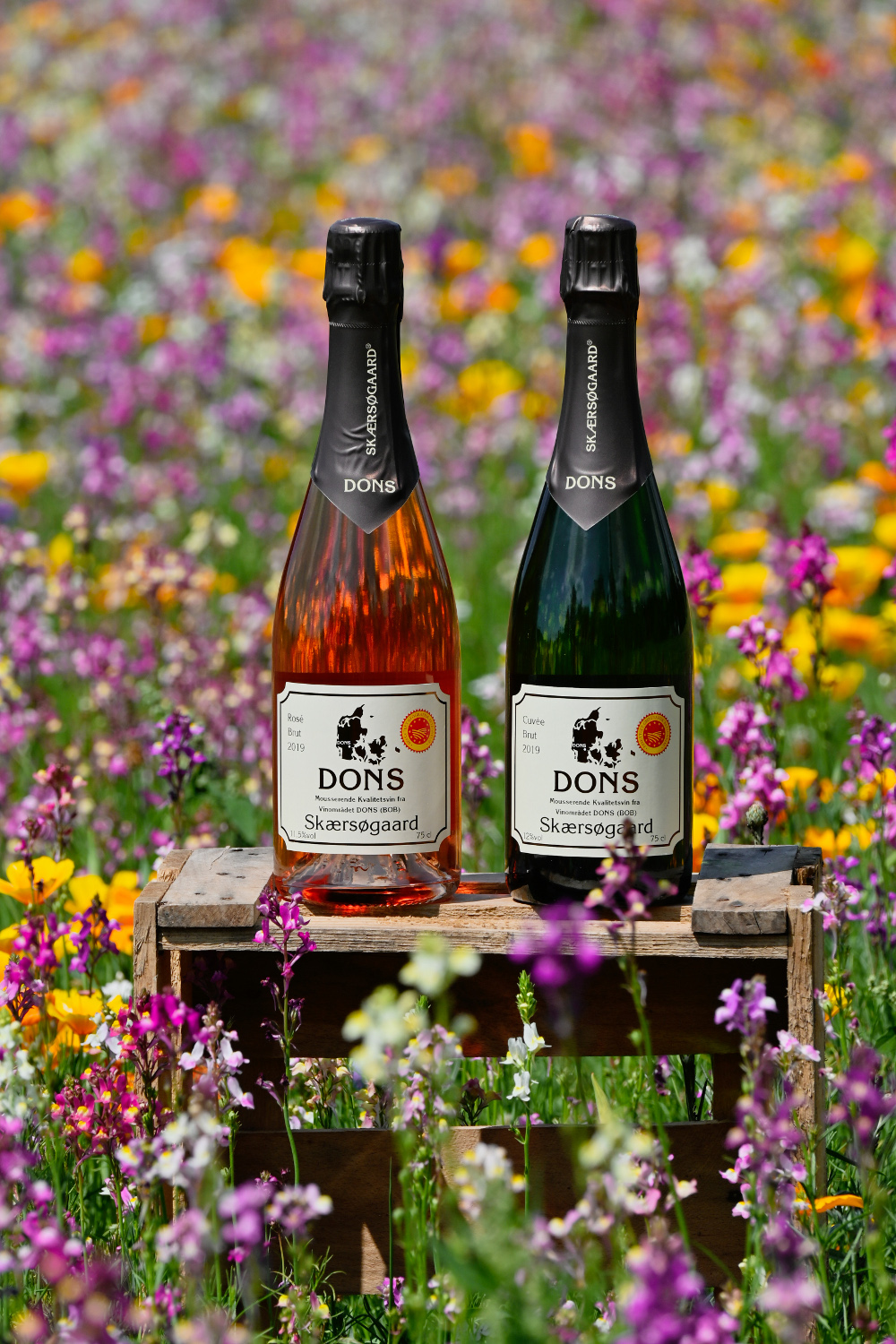 Wine from the land of the Vikings! | The Write Taste